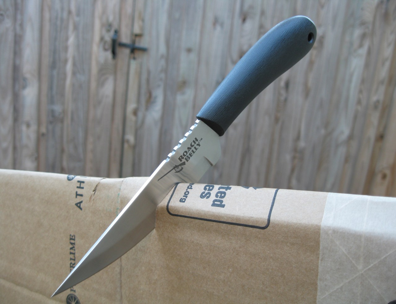 Cold Steel’s Roach Belly Fixed Blade Knife | BladeBarrelBezel.com